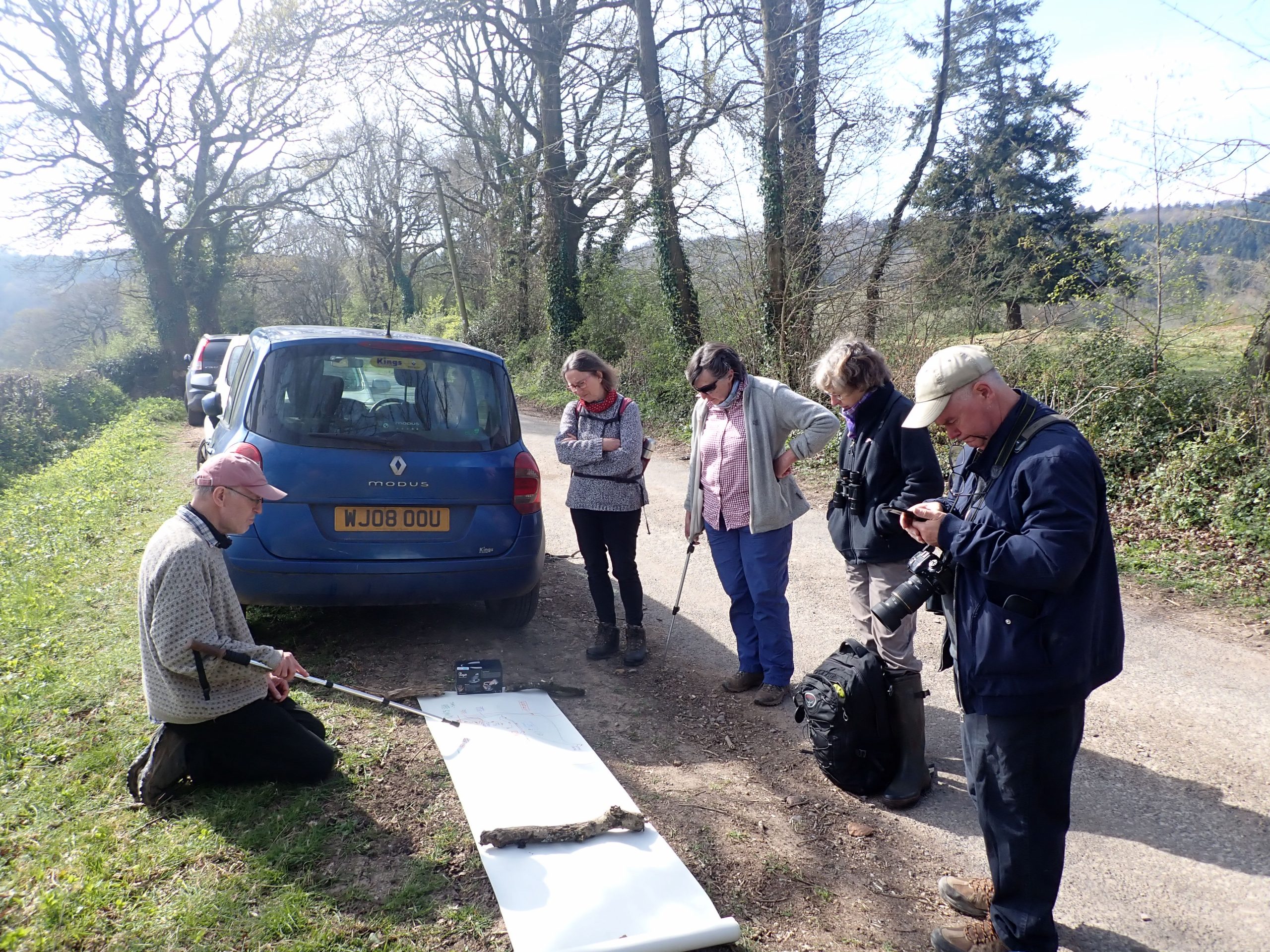 First field meeting of 2021 – Somerset Rare Plants Group